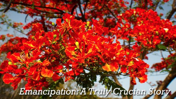 Emancipation Day: A Truly Crucian Story | St Croix USVI Travel Guide ...