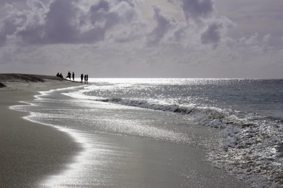 Sandy Point National Wildlife Refuge St Croix, USVI