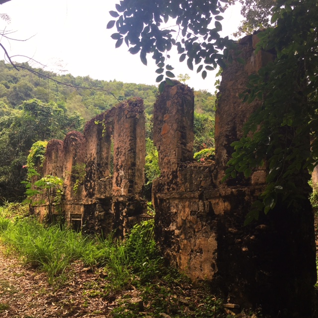 Over 100 Things to Do on St Croix Attractions Tours Excursions