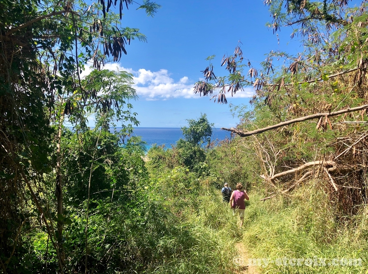 Over 100 Things to Do on St Croix Attractions Tours Excursions