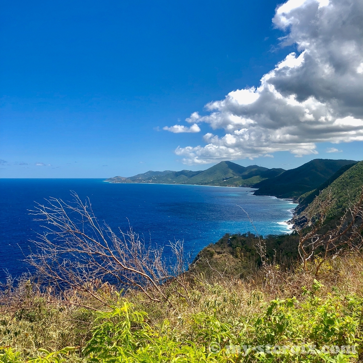 Over 100 Things to Do on St Croix Attractions Tours Excursions