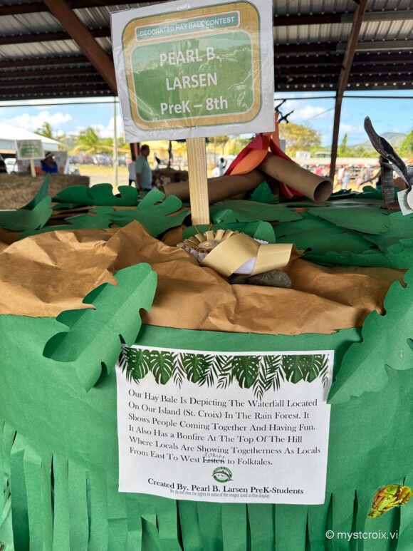 The Annual St Croix Agrifest Festival and the Island's Rich ...