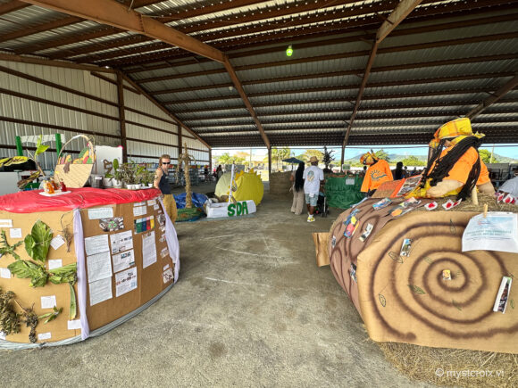 The Annual St Croix Agrifest Festival and the Island's Rich ...