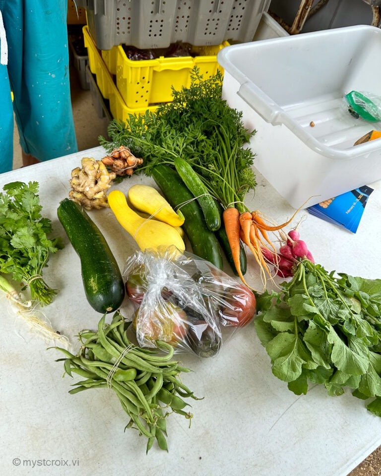 The Annual St Croix Agrifest Festival and the Island's Rich ...