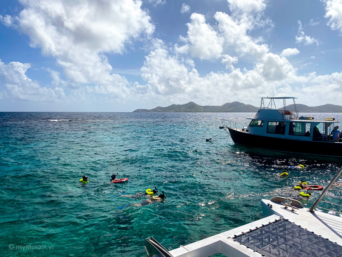 Buck Island Tours Snorkel St Croix USVI | St Croix USVI Travel Guide ...